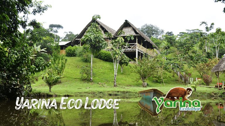 YARINA ECO LODGE - Atlas Viajes
